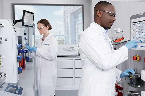 cell-culture-bioprocess-scale-up-workflow-from-bench-to-pilot-production-scale-using-single-use ...